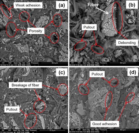 Sem Micrographs Of Fractured Surfaces Of Pp Based Composites Reinforced
