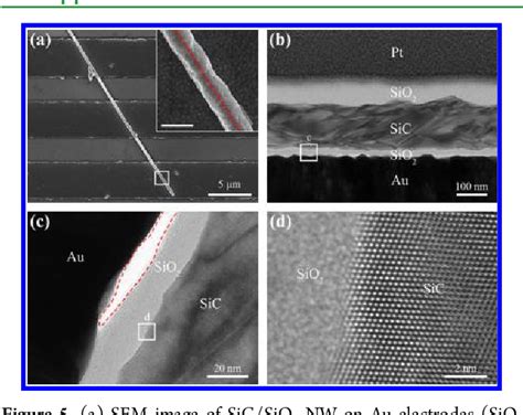 Figure 5 From Plasmon Induced Heterointerface Thinning For Schottky Barrier Modification Of Core