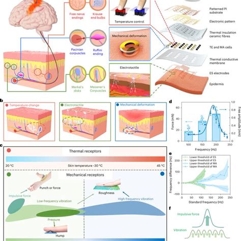 Demonstration Of The Multimodal Haptic Feedback Vr System A A Download Scientific Diagram