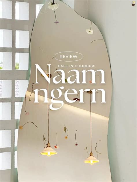 พาส่อง “คาเฟ่ดอกไม้” แสงสวยละมุน 🌷 แกลเลอรีที่โพสต์โดย Pookiefoodie Lemon8