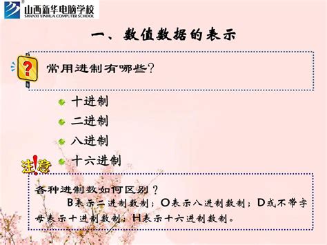 计算机中的信息和数据word文档在线阅读与下载无忧文档 计算机中的信息和数据word文档在线阅读与下载无忧文档