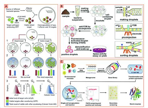Diverse Microfluidic Approaches For Phenotype Screening And Sorting