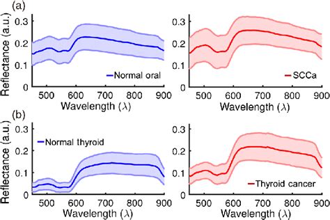 A Normalized Reflectance Curves For The Average Spectra Shown With