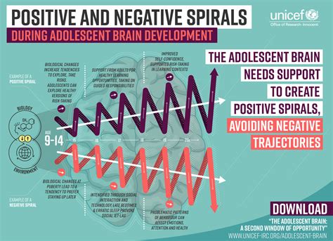 Unicef Infographic Design The Adolescent Brain Behance