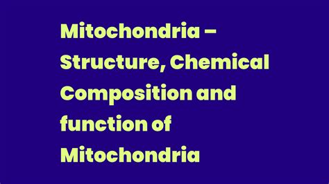 Mitochondria Structure Chemical Composition And Function Of