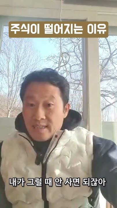 주식이 떨어지는 이유 자기계발 명언 동기부여 투자 Youtube