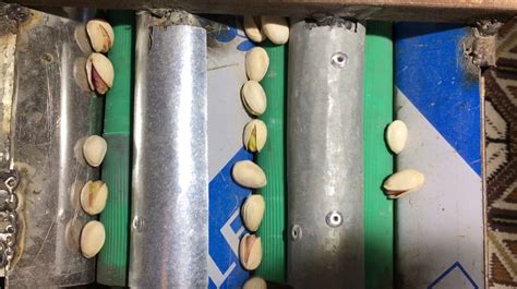 Pistachio Detection Roboflow Universe