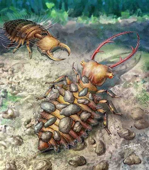 Amber Unveils Evolution Of Ancient Antlions Geology Page