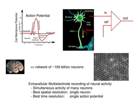 Ppt Large Scale Multielectrode Recording And Stimulation Of Neural Activity Powerpoint