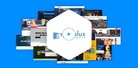 portfolio spaculus software