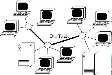 Networking DCCN Bus TOPOLOGY
