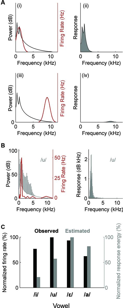 Estimation Of Neural Responses To Vowels Based On Srf The Power Download Scientific Diagram