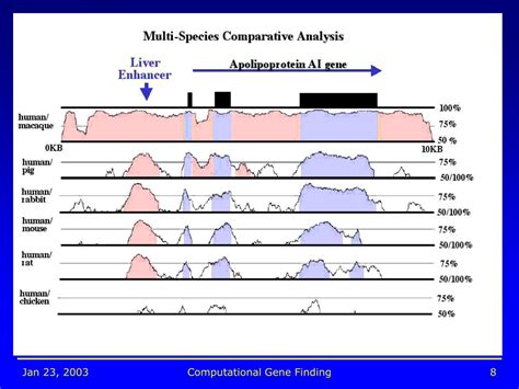 Ppt Computational Gene Finding Powerpoint Presentation Free Download
