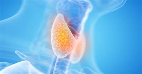 Thyroid Nodules Endocrine Society