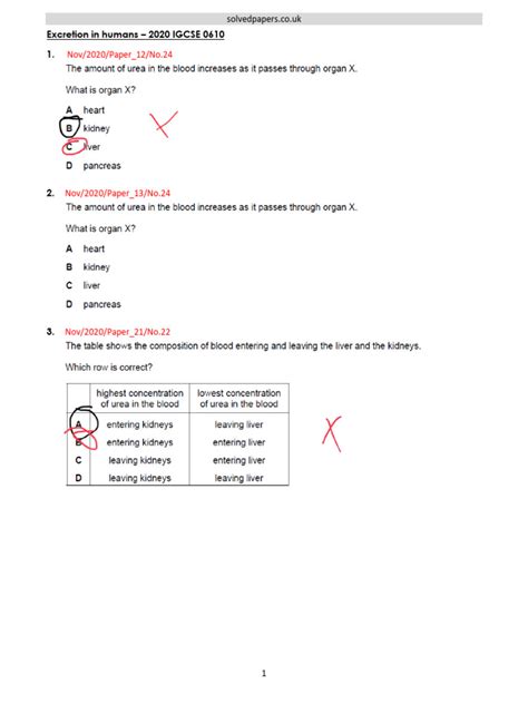 2020n Excretion In Humans Igcse 0610 Stru Pdf
