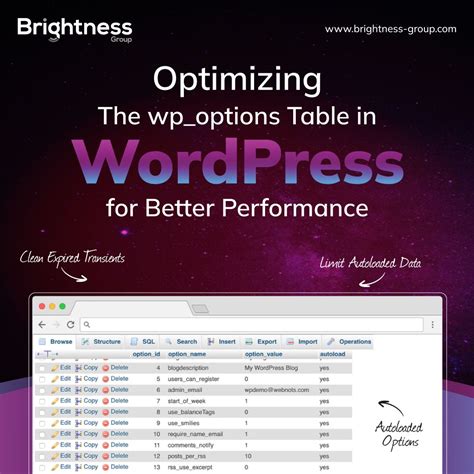 Brightness Group On Linkedin Wordpress Databaseoptimization