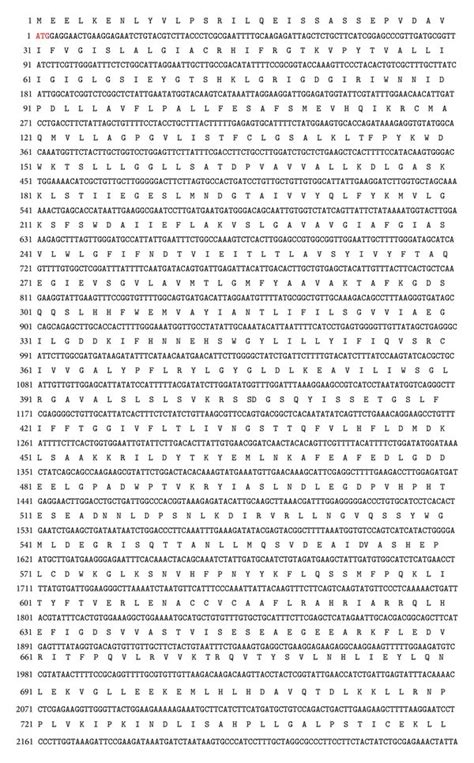 The Orf Nucleotide Sequence And The Deduced Peptide Sequence Of Kvsos1