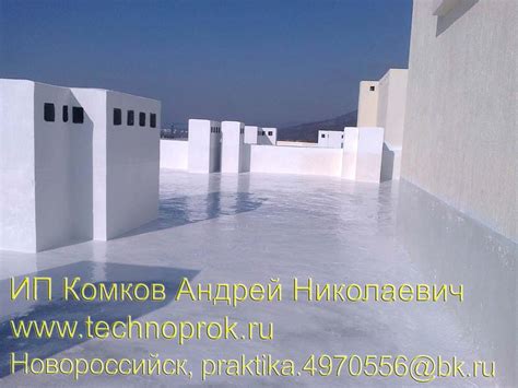 Краска для крыши белая купить