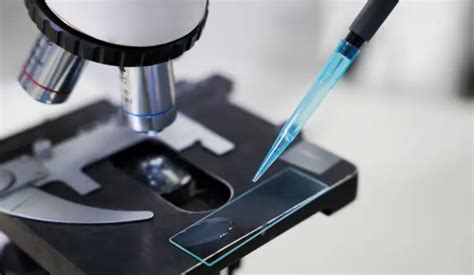 Ivrt And Ivpt In Vitro Testing Services Tioga Research