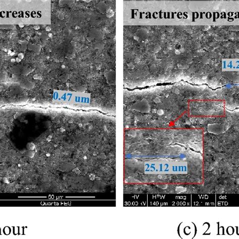 Microfracture Evolution Of S 2 Microfractures Expanded In The Early