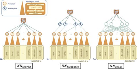 Panel Overview Of Nn Architectures Each Build On Top Of The Shared Download Scientific Diagram