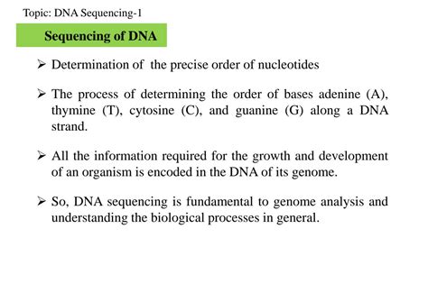 Solution Lecture 11 Dna Sequencing 1 Chain Termination Method Studypool