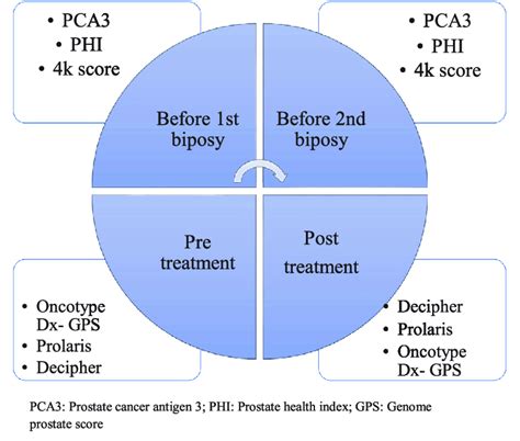 Prostate Cancer Biomarker Assays And The Clinical Decision Making