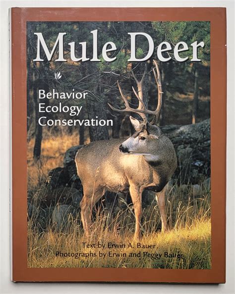 Mule Deer Behavior Ecology Conservation Sporting Classics Store