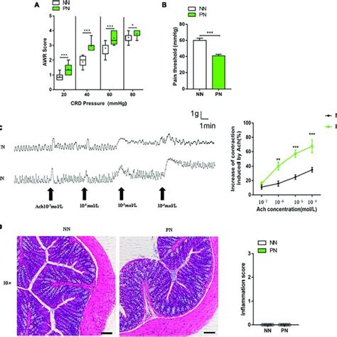 Light Dark Phase Shift Increases Visceral Sensitivity Without Download Scientific Diagram