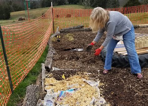 How To Start A No Till Garden A Beginners Guide — Usa Regenerative