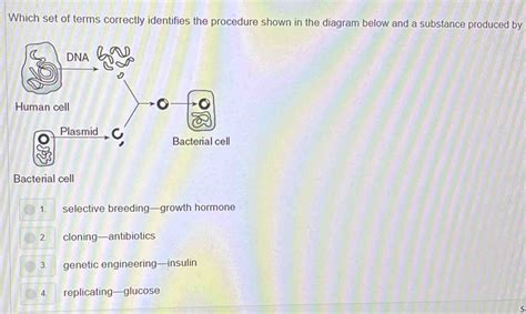 Solved Which Set Of Terms Correctly Identifies The Procedure Shown In