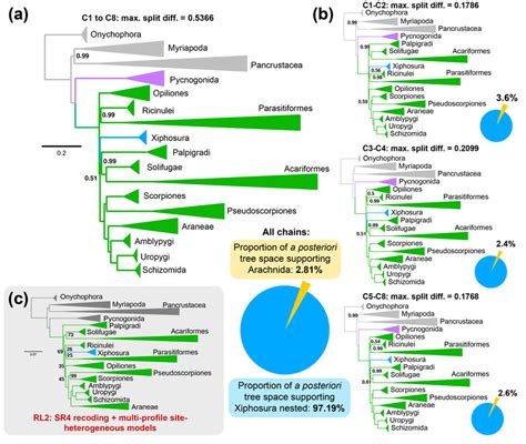 Site Heterogeneous Model Based Approaches Using Catgtr And Sr4 Download Scientific Diagram