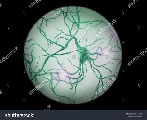 Firing Neurons Sending Signals Microscope View Stock Illustration