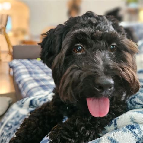 Ariz Krizia Armendi Youtube