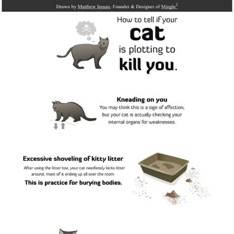 How To Tell If Your Cat Is Plotting To Kill You Pearltrees