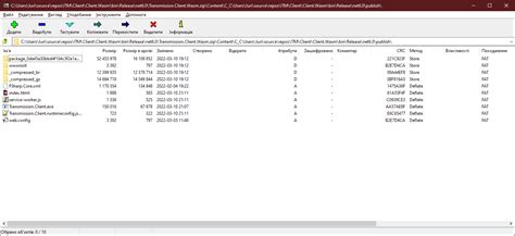 `dotnet Publish C Release Pwebpublishmethodpackage` Puts A Full