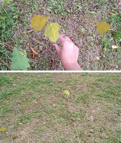 The Two Investigated Interaction Techniques Top Direct Manipulation