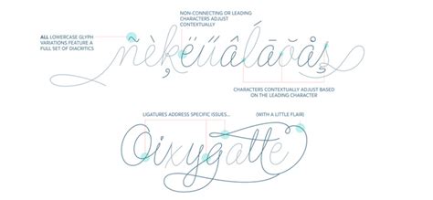 Flirt Script A Playful Contemporary Hand Written Font
