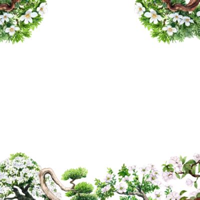 Tree Border PNGs For Free Download
