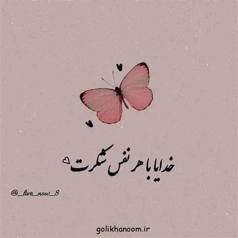 عکس پروفایل خدایا شکرت جدید 2024؛ برای استوری و ایجاد حال مثبت در فضای