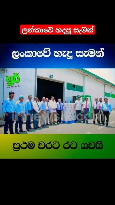 ලන්කාවෙ හදපු සැමන් ප්‍රථම වරට රට යවයි 🇱🇰👍💯 Politicalnews News Cleansrilanka Shorts Youtube