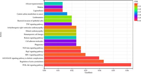 Bar Chart Of KEGG Enrichment The Horizontal Axis Represented Ratio Of