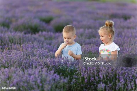 쾌활 한 작은 귀여운 커플 소년 소녀 도보 보라색 라벤더 꽃 초원 필드 배경 재미 놀이 좋은 화창한 날을 즐길 수 있다 작은 아이 흥분 가족의 날 어린이 어린 시절 라이프
