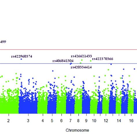 Genome Wide Plot Of −log10p Values For Association Of Snps With