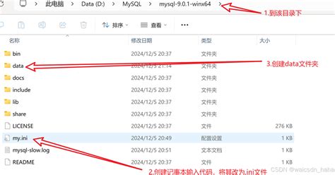 mysql 9 1 0安装详细教程（保姆级） mysql9 2安装教程 csdn博客