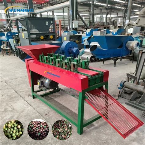 Macadamia Peeling Machine Macadamia Dehusking Machine Best Price Wm Machinery