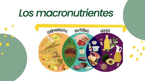 Solution Los Macronutrientes Studypool