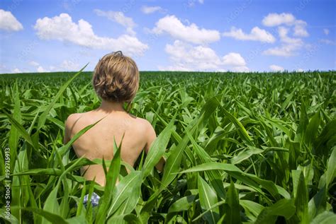 Topless Girl On Green Corn Field Stock Photo Adobe Stock