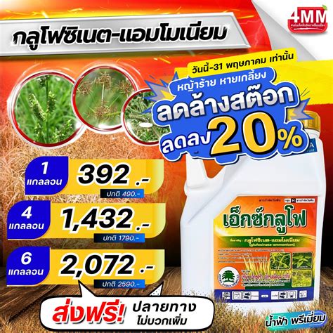 ศูนย์เมล็ดพันธุ์ตลาดสี่มุมเมือง มาแล้ววว 📌 โปรดี๊ดี กำจัดวัชพืช ฤทธิ์แรง 🧑‍🌾พืชไร่ พืชสวน หัว