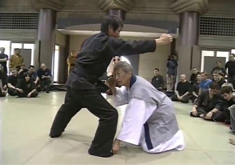 Ninpiden 忍秘伝 Kanyō Ryū 寛容龍